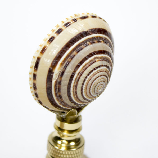 LampsUSA Finials Sun Dial Sea Shell Finial SH7