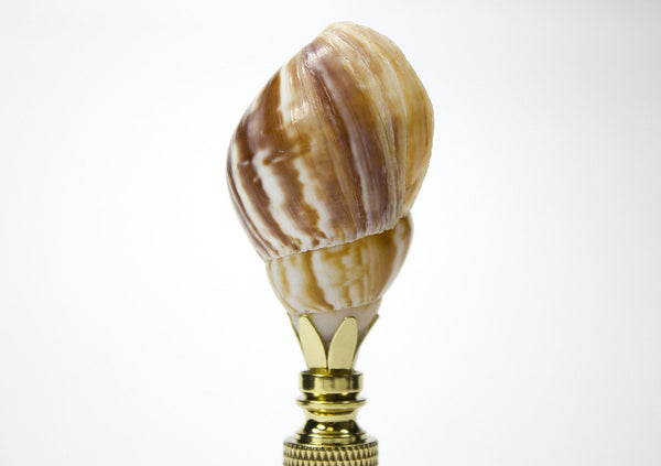LampsUSA Finials Snail Shell Finial SH11