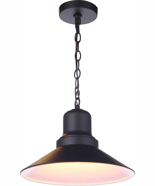 Craftmade Singleton 1-Light Outdoor Pendant Midnight ZA5411-MN