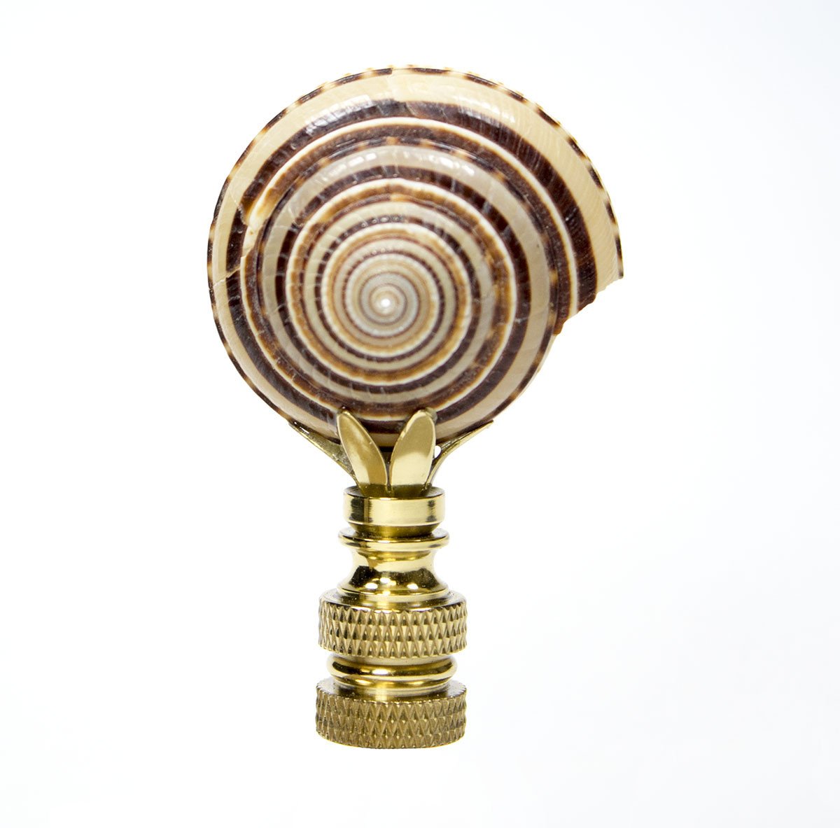 LampsUSA Finials Sun Dial Sea Shell Finial SH7